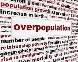 Overpopulation: Cause and Effect – Eduindex News