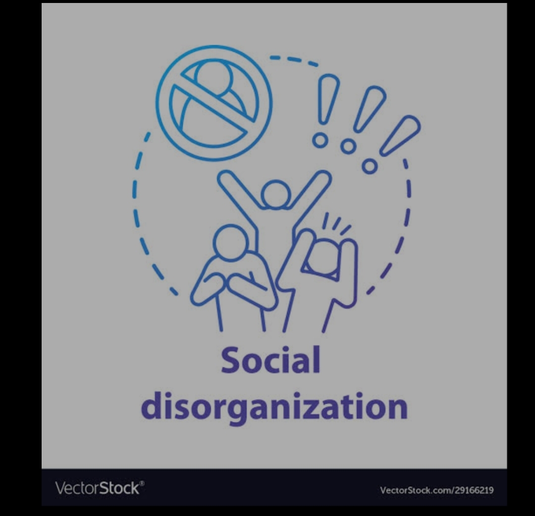 What is Social Disorganisation? – Eduindex News