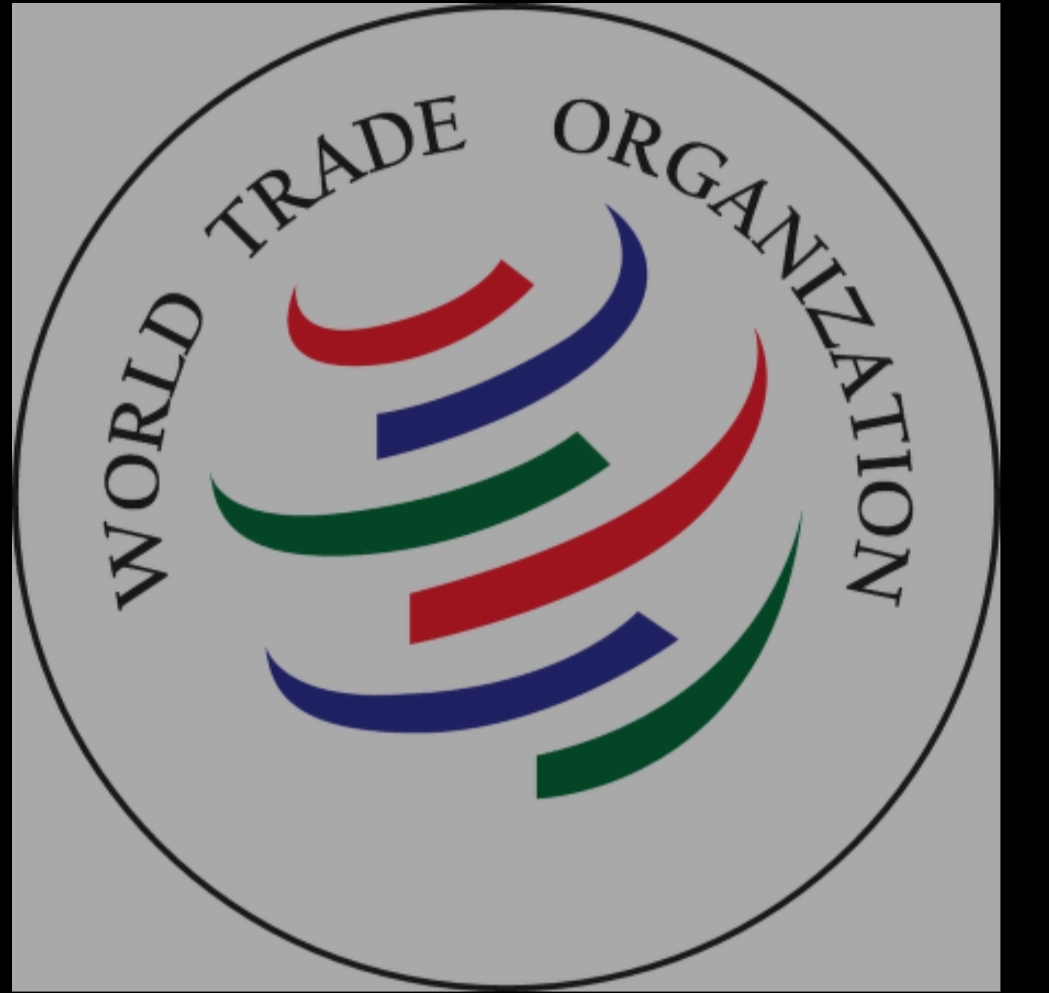 What is World Trade Organisation ( WTO ) ? ( History , Objectives ...