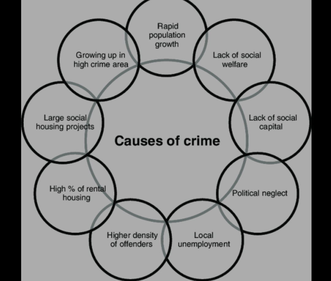 What is Social Disorganisation? – Eduindex News