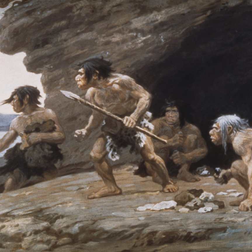 NEANDERTHALS – Our Closest Relatives – Eduindex