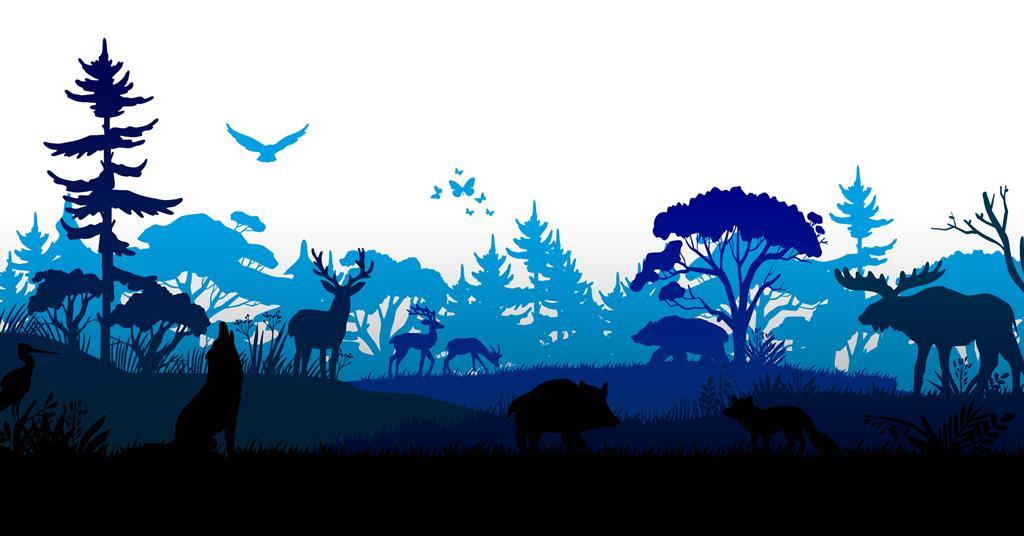 Significance of Biodiversity – Eduindex