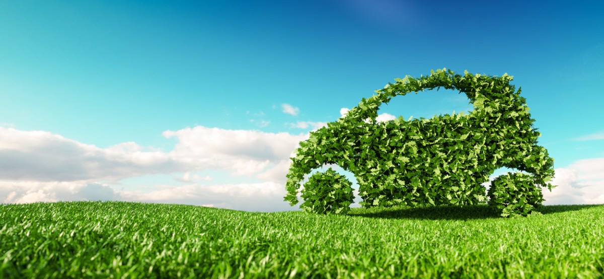 Why does the World Need to Decarbonize Transport? – Eduindex News