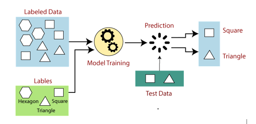 How supervised learning works? – Eduindex News