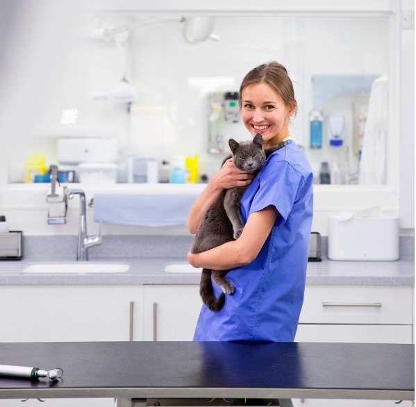 Paws for Life: 5 Ways to Perform CPR on a Cat – Eduindex